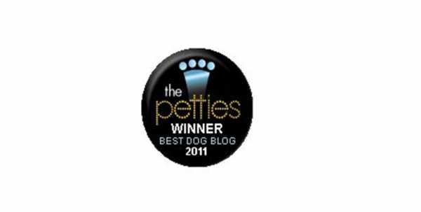 FIDO Friendly magazine wins Best Dog Blog award from Dogtime Media ...