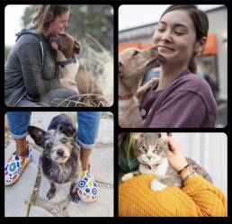 How Fido and Fluffy Can Calm and Bring Comfort | FIDO Friendly