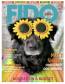 FIDO Friendly Magazine | FIDO Friendly