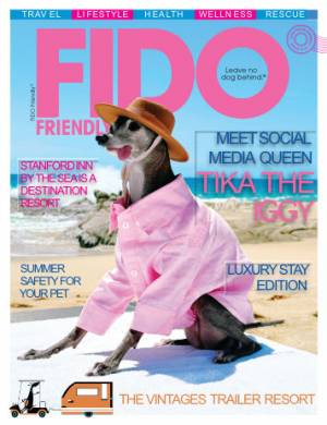 FIDO Friendly Magazine | FIDO Friendly