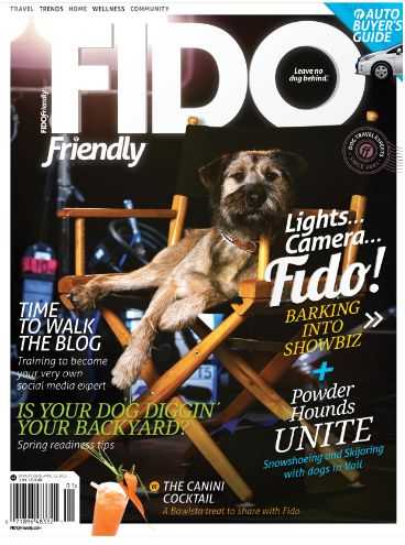 FIDO Friendly top gifts for dogs and dog lovers on Valentine’s Day ...
