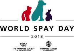 World Spay Day Kicks Off in February with Hundreds of Events Around the ...
