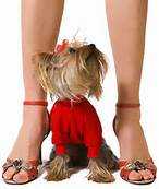 Mutts and Models - THE FUNDRAISER FOR UNDERPRIVILEGED PETS | FIDO Friendly