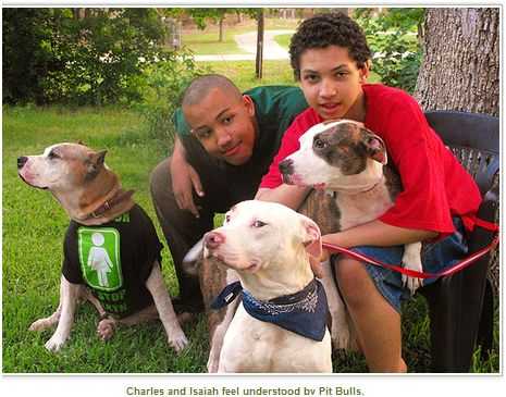 Autistic brothers feel healing powers of Pit Bulls | FIDO Friendly