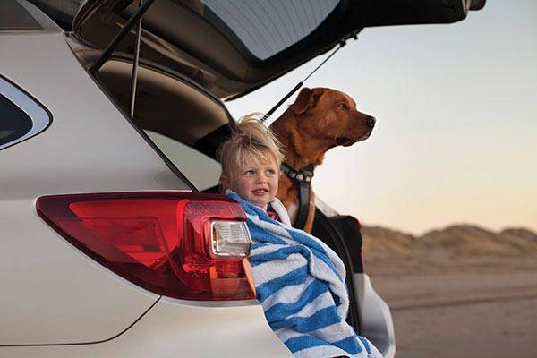 The 2015 Fido-Friendly Auto Buyer’s Guide | FIDO Friendly