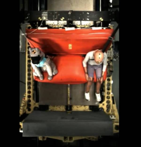 Sleepypod introduces Duke 2.0, Most Advanced Crash Test Dog Ever | FIDO ...