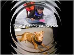 Circle of Life: From Patrick to Patrick: Dog making a difference | FIDO ...
