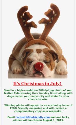 Christmas in July Contest | FIDO Friendly