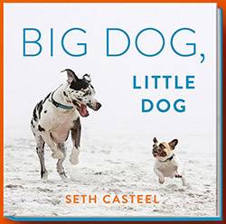 BIG DOG, LITTLE DOG! | FIDO Friendly