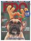 FIDO Friendly Magazine | FIDO Friendly