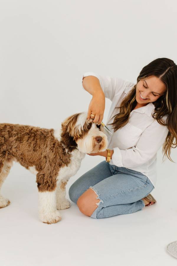 Pupwell - the first ever at-home, dog grooming kit - it’s a dog parent ...