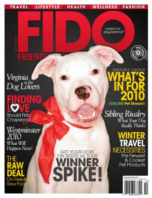 Issue 41 | FIDO Friendly